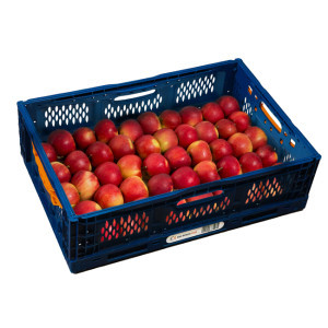 Assortiment - Van Kekem Fruit