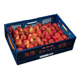 Assortiment - Van Kekem Fruit
