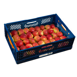 Assortiment - Van Kekem Fruit